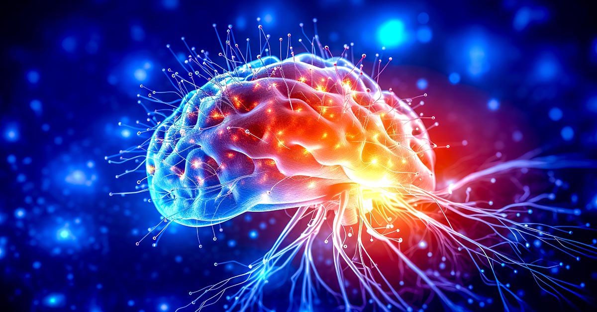 A fejlődés hiányzó láncszeme – Az agy-izom kapcsolat!